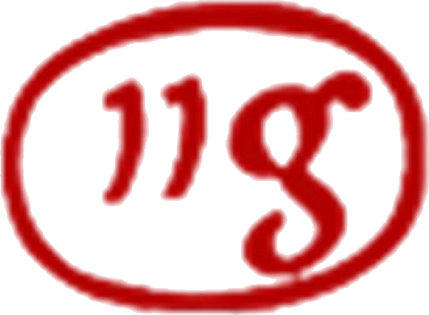 Information_For_Author IIG